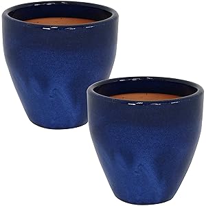 Amazon.com: Sunnydaze Resort Ceramic Flower Pot Planter with Drainage Holes - Set of 2 High ...