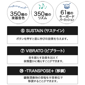 Amazon | RiZKiZ 電子キーボード 【61鍵盤】 350種類の楽器音色 リズム 61種類のキーボードパーカッション マイク付 LCDディスプレイ 自動伴奏 録音 レコーディング ...