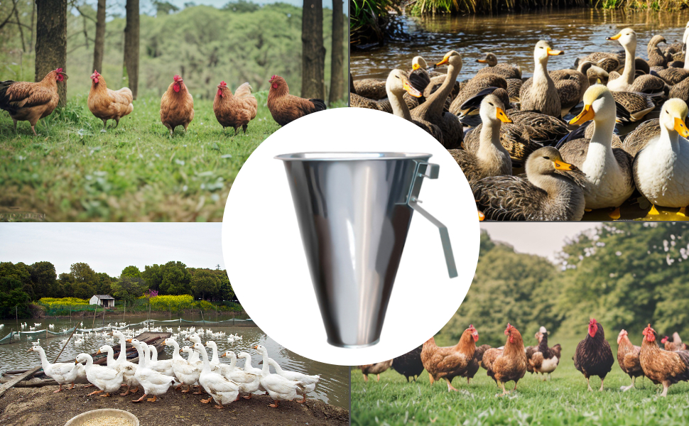 Amazon.com : Esquirla Poultry Restraining Cone Funnel Chicken Plucker Accs Easy Using Slaughter ...
