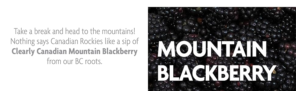 Amazon.com: Clearly Canadian Mountain Blackberry Sparkling Spring Water Beverage, Natural ...