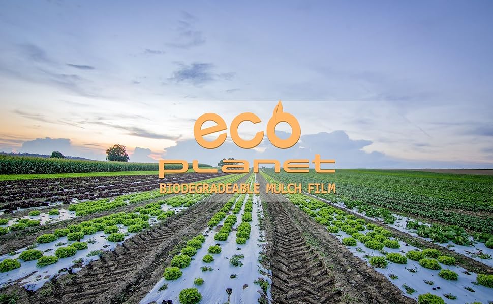 Amazon.com : EcoPlanet Bio-degradable Plastic Mulch Film Gardening Farming Film Outdoor Garden ...