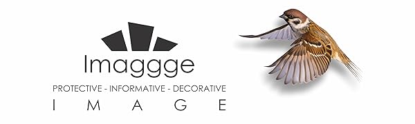 Amazon.com: Anti-Collision Stickers to Prevent Persons or Birds Strikes ...