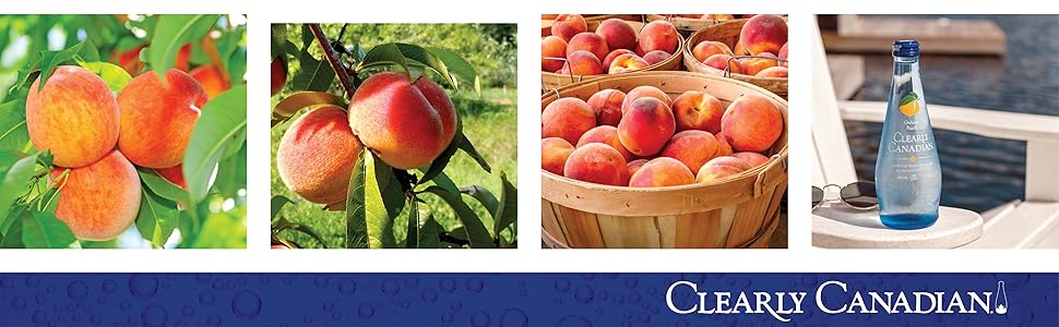 Amazon.com : Clearly Canadian Orchard Peach Sparkling Spring Water Beverage, Natural ...