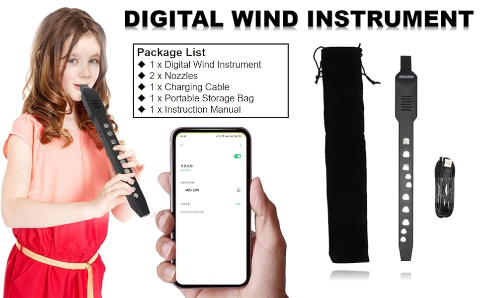 Electric Wind Instrument,10 Tones Rechargeable MIDI Connectivity Mini ...