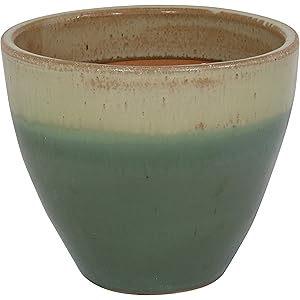 Amazon.com : Sunnydaze Resort Ceramic Flower Pot Planter with Drainage Holes - High-Fired Glazed ...