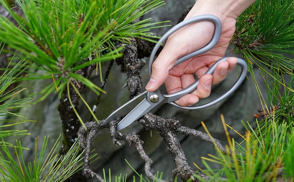 Amazon.com: KAKURI Okubo Shears 7.8" (200 mm) Bonsai Scissors Long Blade, Flower Arranging ...