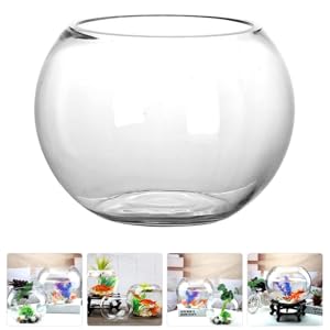 Amazon.com : GANAZONO Round Glass Fish Bowl Clear Portable Desktop Tank for Goldfish Hydroponics ...