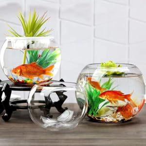 Amazon.com : GANAZONO Office Decor Glass Vase Glass Fish Bowl Clear Terrarium Globe Flower Vase ...