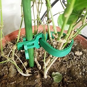 Amazon.com : 8 PCS Tree Stake Support Bands, Tree Straps for Staking ...