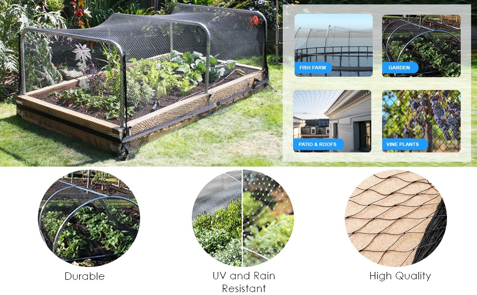 Amazon.com : Nylon Mesh Anti Bird Netting [50 X 50] ft for Fruit Trees Used As Bird Netting for ...