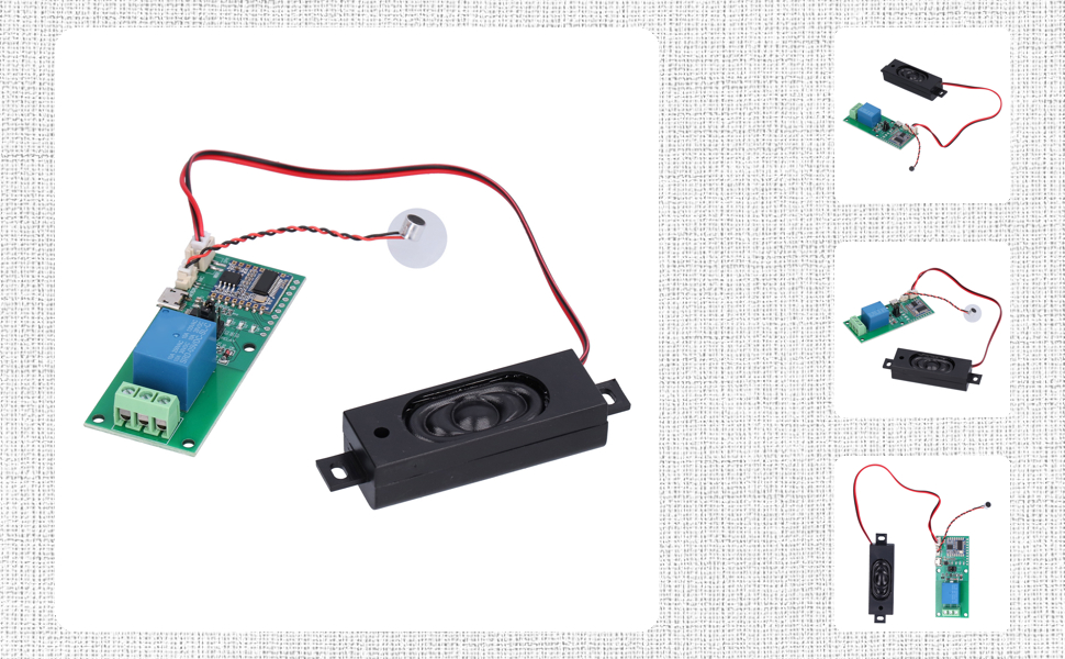 Amazon.com: Programmable Voice Control Module 80 Commands 3.6-30V DC ...