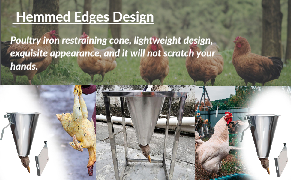 Amazon.com : Amagogo Poultry Restraining Cone Killing Chicken Cone Portable Slaughter Tool Iron ...