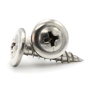 #8 Phillips Modified Truss Head Stainless Steel Lath Screws #8 x 1-1/4" Qty 100: Amazon.com ...