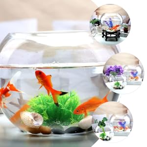 Amazon.com : GANAZONO Office Decor Glass Vase Glass Fish Bowl Clear Terrarium Globe Flower Vase ...