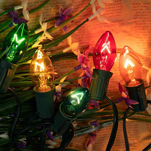 25Ft Christmas Lights Multicolor, C7 Outdoor Christmas Light with 27 ...