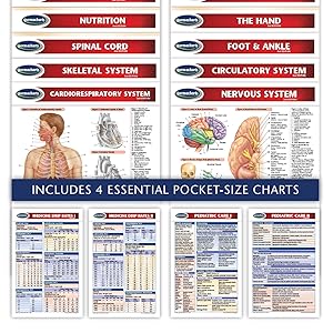 Amazon.com: Permacharts BSN, Registered Nursing Year 1 Curriculum ...