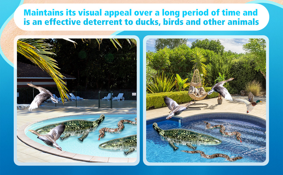 Amazon.com: Shappy 4 Pcs Duck Deterrent for Pool 47 in Inflatable ...