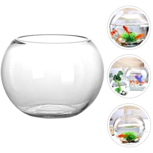 Amazon.com : GANAZONO Office Decor Glass Vase Glass Fish Bowl Clear Terrarium Globe Flower Vase ...