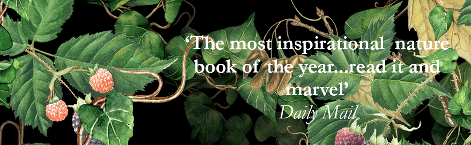 Wilding: The Return of Nature to a British Farm: Tree, Isabella: 9781509805105: Amazon.com: Books