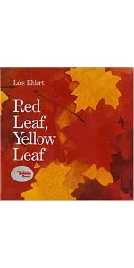 Red Leaf, Yellow Leaf : Ehlert, Lois: Amazon.co.uk: Books