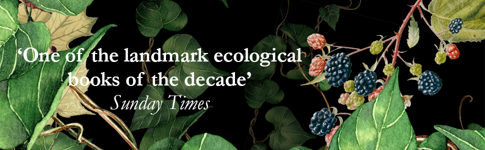 Wilding: The Return of Nature to a British Farm: Tree, Isabella: 9781509805105: Amazon.com: Books