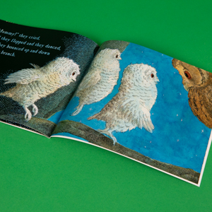 Owl babies: Waddell, Martin: 8601404204227: Amazon.com: Books