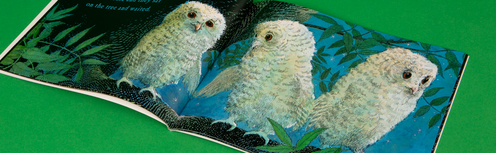 Owl babies: Waddell, Martin: 8601404204227: Amazon.com: Books