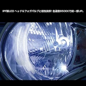 Amazon | 【Amazon.co.jp 限定】 M's Basic by IPF ポジションランプ LED 車用 T10 130lm 6500K ホワイト 12V用 2本入 車検対応 ...