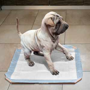 Out! PetCare Dog Pad Holder Tray, Safe, Effective, Dog Pee Pad Tray ...