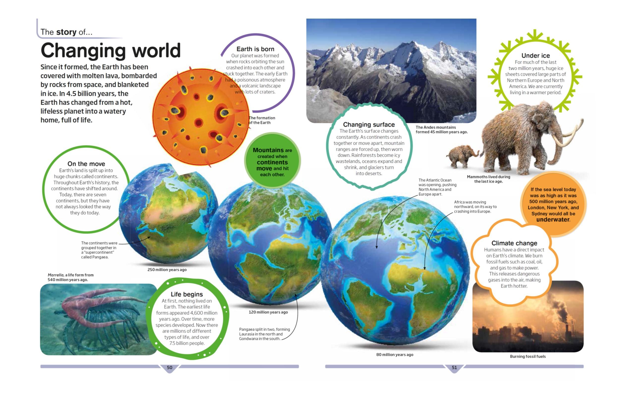 DK Children's Encyclopedia: The Book that Explains Everything: DK ...