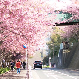 Amazon | エンプレイス(Nplace) ポータブルカーナビ 7インチ 8GB ドライブレコーダー搭載 (100万画素) ワンセグチューナー内蔵 12V車/24V車対応 2020年版 ...