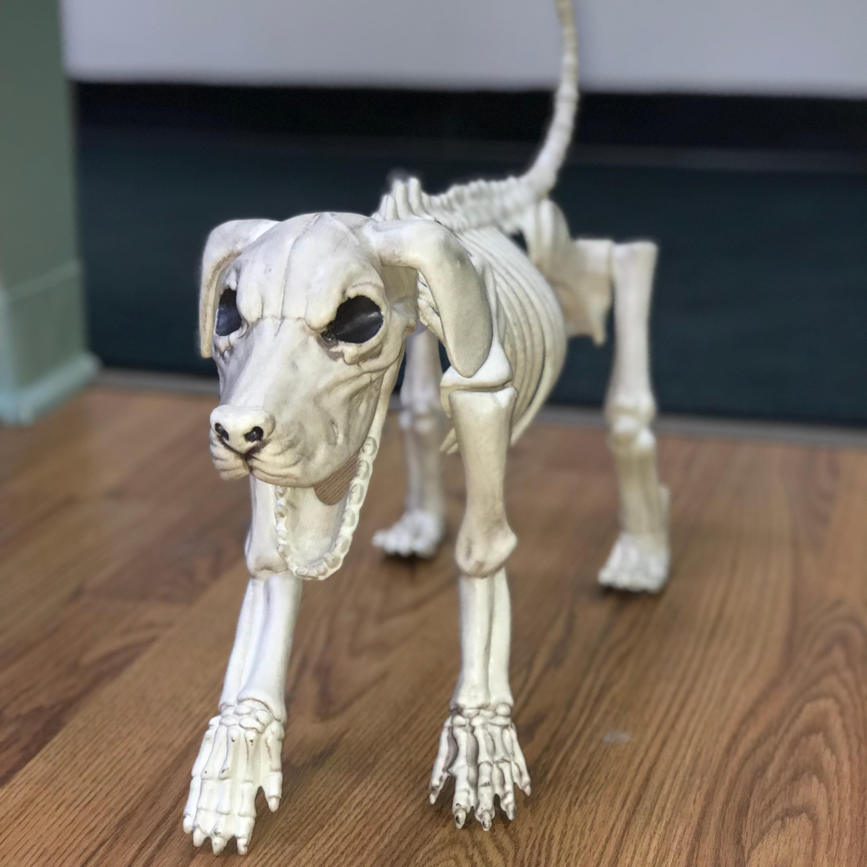 Amazon.com: Crazy Bonez Skeleton Dog - Beagle Bonez: Toys & Games