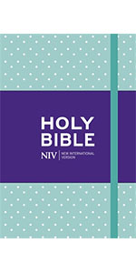 NIV Pocket Brown Soft-tone Bible with Clasp (new edition): Amazon.co.uk: International Version ...