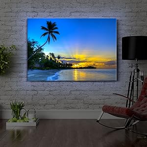 Lightbox-Multicolor | Leuchtbild | Palmen am Strand | 100x70 cm | Front Lighted : Amazon.de ...