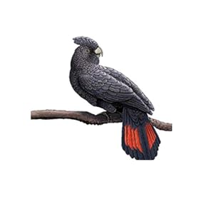 Think Java: How to Think Like a Computer Scientist: Downey, Allen B ...