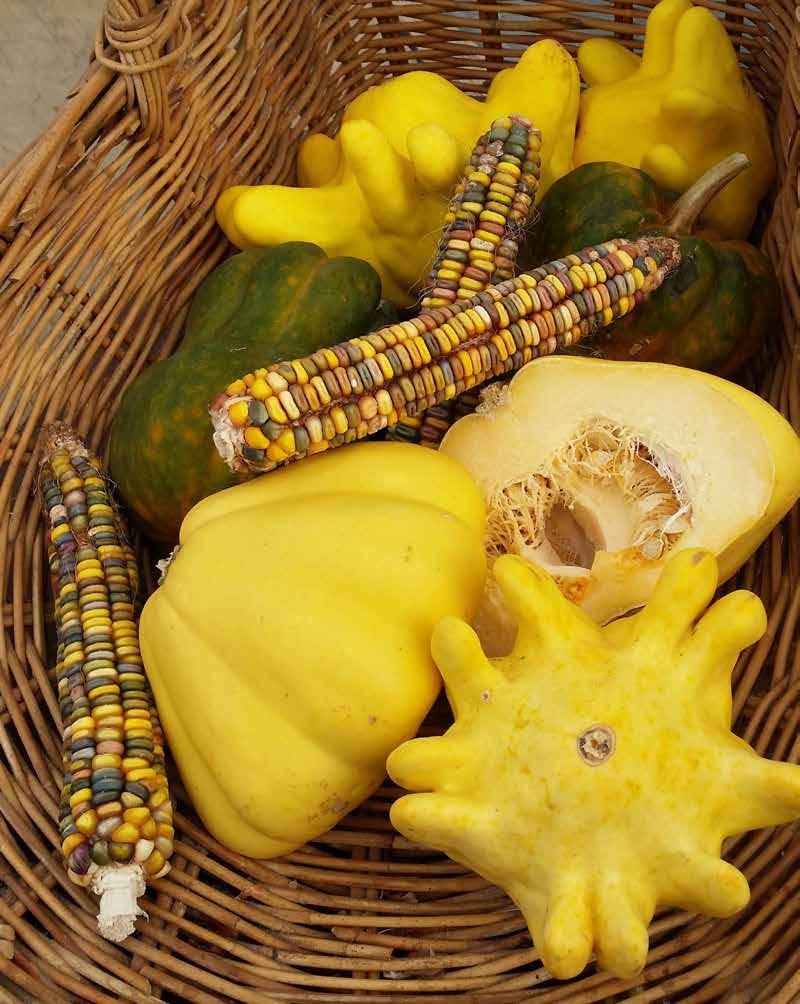 Heirloom Vegetable Gardening: A Master Gardener's Guide to Planting ...