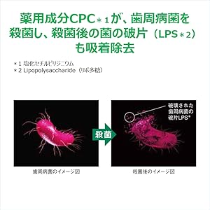 Amazon.co.jp: GUM (Quasi-Drug) Well Plus Periodontal Disease Prevention Toothpaste, Dental Paste ...