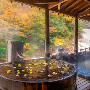 Amazon.com: MyKirei by KAO Foaming Body Wash with Japanese Yuzu, Sustainable Bottle Pump, Citrus ...