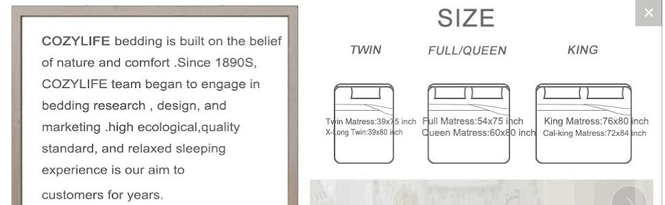 Amazon.com: Cozylife Three Fabric Sides Wrap Around Elastic Solid Bed ...