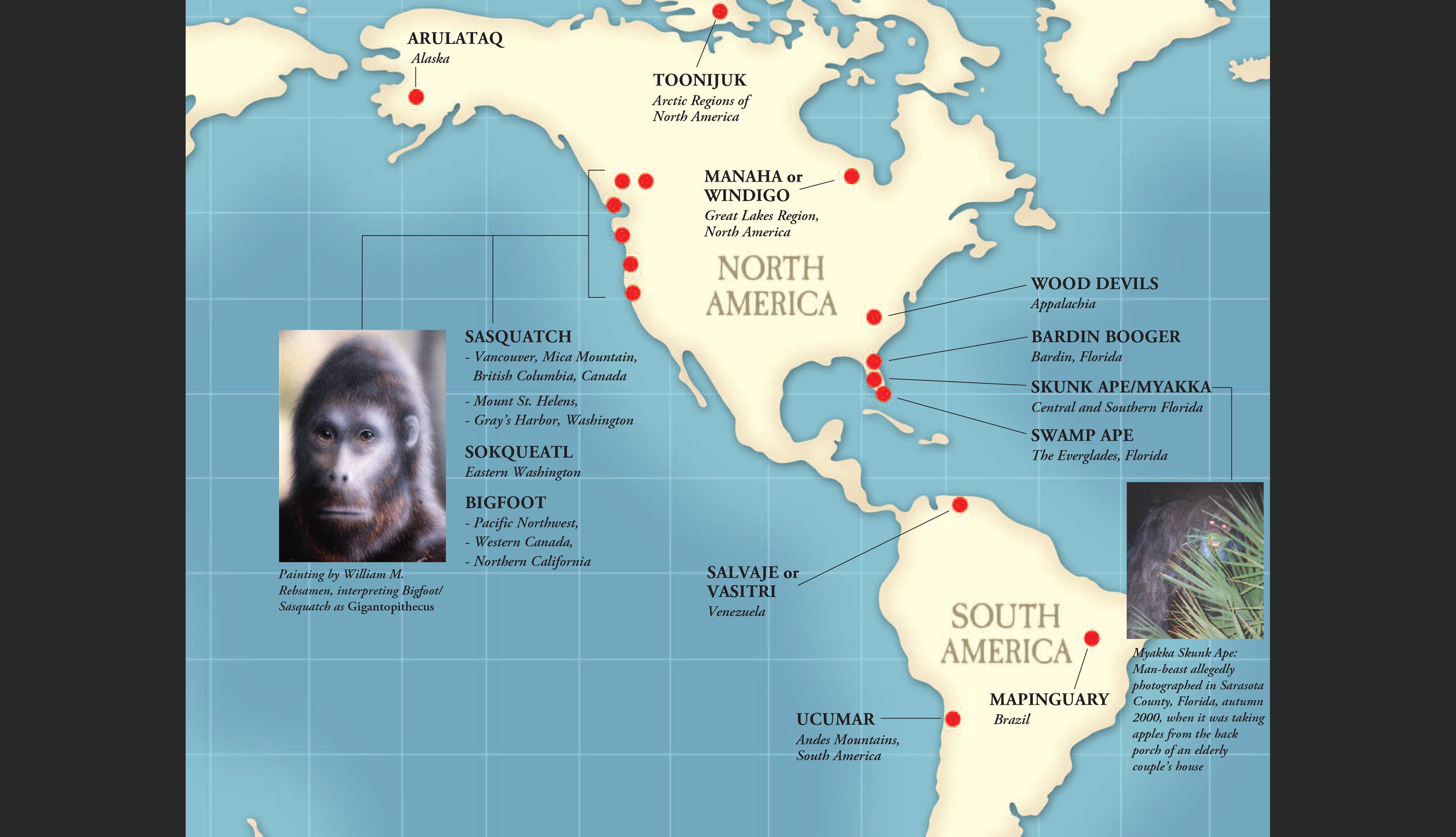 Tales of the Cryptids: Mysterious Creatures That May or May Not Exist (Darby Creek Publishing ...