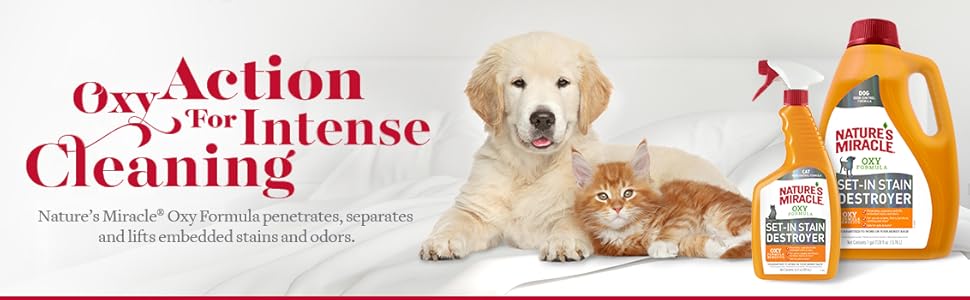 Nature's Miracle P-98174 Destructor de Manchas para Perro, 32 onzas, fórmula Oxy con Aroma a ...