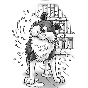 Amazon.com: The Secret of the Hidden Scrolls: Race to the Ark, Book 2 (The Secret of the Hidden ...