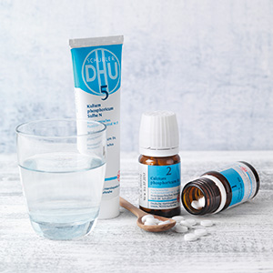 Schüßler-Salze: Das Basisbuch (GU Ratgeber Gesundheit) : Heepen, Günther H.: Amazon.de: Bücher