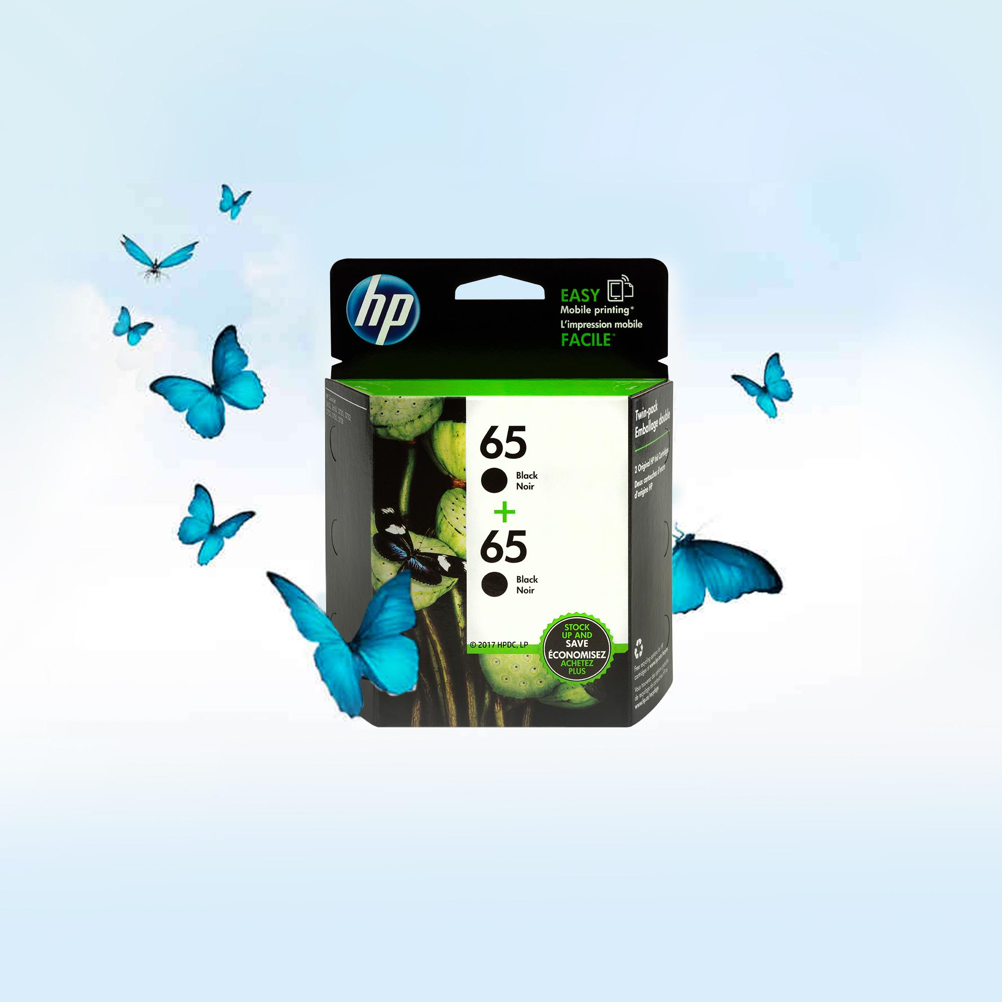 HP 65 Black Original Ink, 2 Cartridges (1VU22AN): Amazon.ca: Electronics
