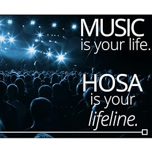 Amazon.com: Hosa DTP803 Balanced Snake DB25 to 1/4" TRS - (9.75 Feet) (Black) : Musical Instruments