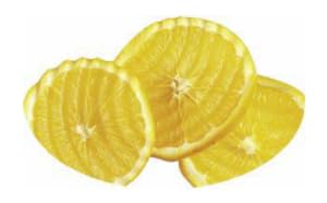 Magimix 17653 Creative Kit for Magimix Food Processors : Amazon.co.uk ...