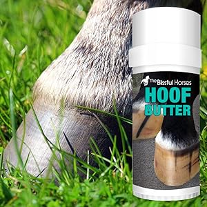 Amazon.com : The Blissful Horses Hoof Butter All Natural Support for ...
