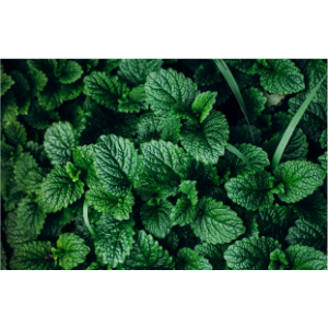 Amazon.com: Sparkling ICE, Black Raspberry Sparkling Water, Zero Sugar ...