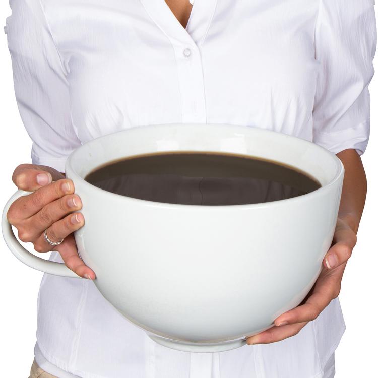 Allures And Illusions Gigantic Coffee Mug Worlds Largest Coffee Cup