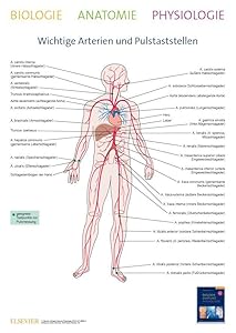 Biologie Anatomie Physiologie: mit Zugang zu pflegeheute.de : Menche ...